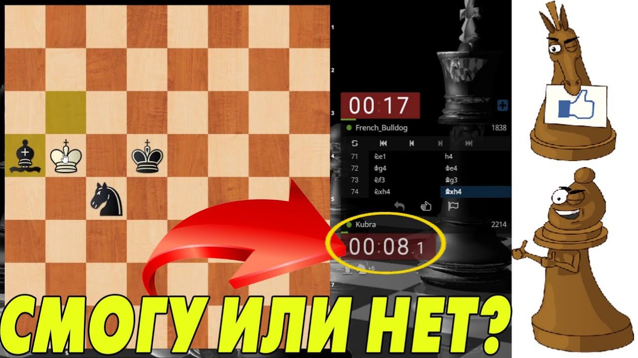МАТ КОНЕМ И СЛОНОМ НА СЕКУНДАХ! А ВАМ СЛАБО? ШАХМАТЫ БЛИЦ