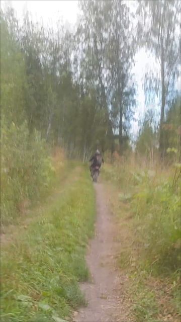 Камни прилетели без приглашения 😏🪨💨