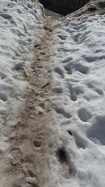 №1820 Двор Сибирская 73. 18 марта 2026 г., 13:37:46 VID_20260318_133705551