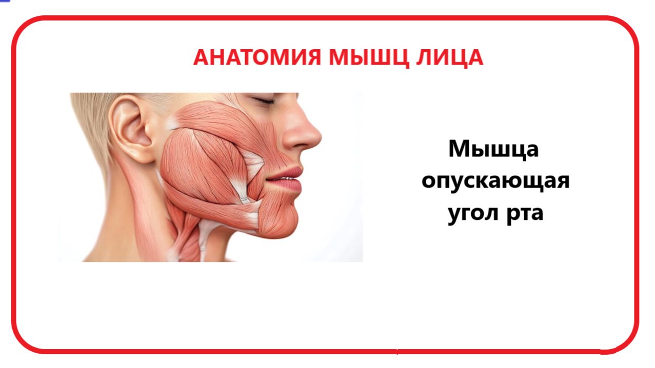 Мышца опускающая угол рта