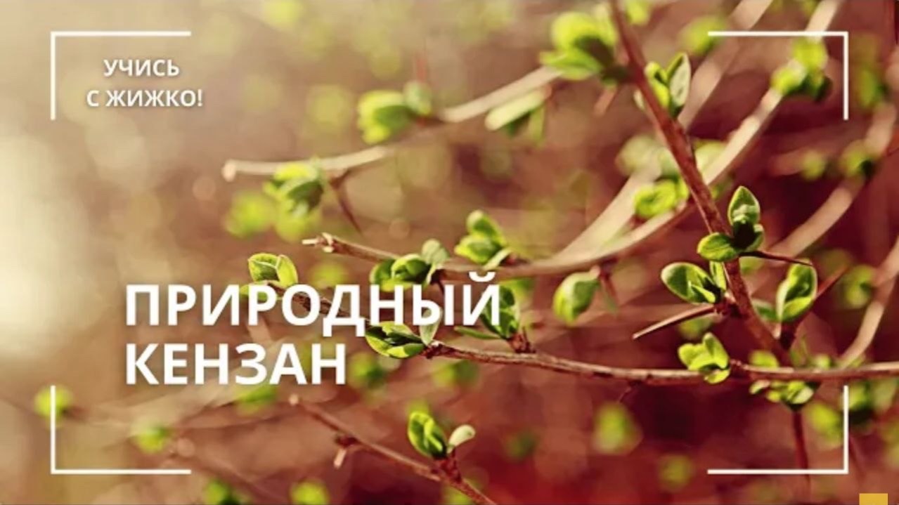 Урок: Природный кензан от Натальи Жижко