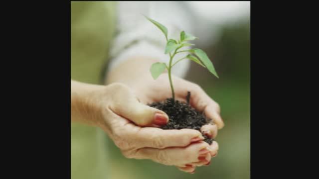 День Рождения Церкви Слово Жизни (Новая Жизнь) 2010 г.