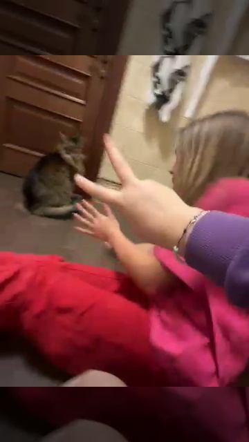 Привет всем