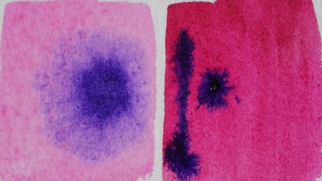 ОШИБКИ начинающих акварелистов ❗Чего следует избегать, чтобы добиться лучших результатов