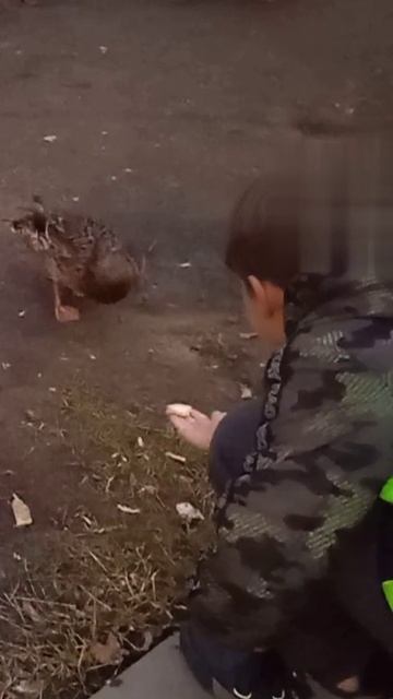 Самая голодная утка