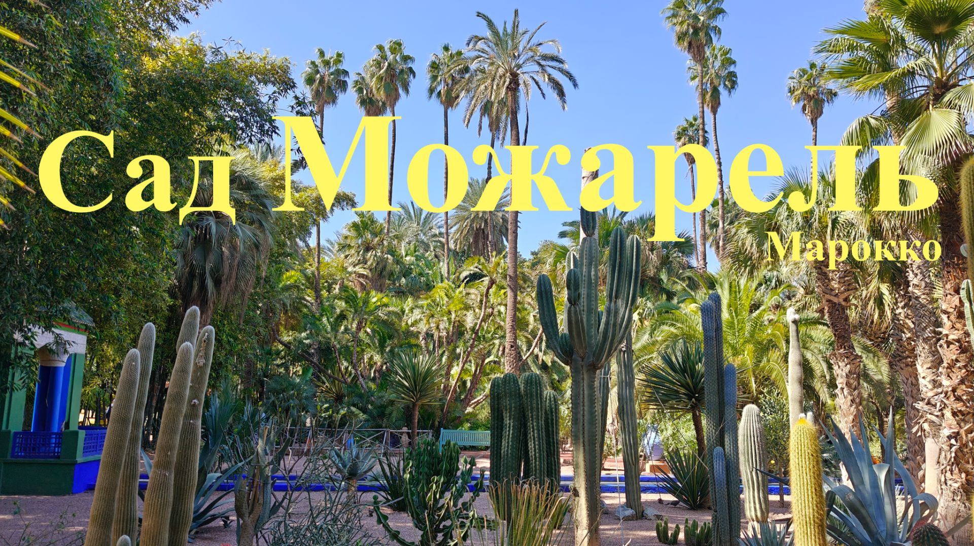 Сад Jardin Majorelle