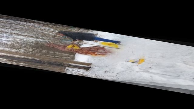 «Музыкальный медведь»