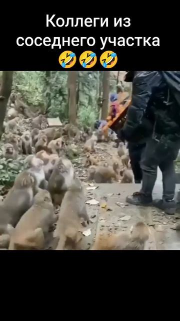 Не пропадать же добру 🤣 #еда #коллеги #папатрехпринцесс #юмор #прикол #смех #поделился #топ #рек