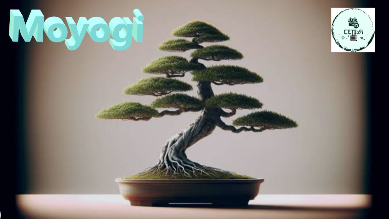 СТИЛЬ БОНСАЙ Мойоги Moyogi