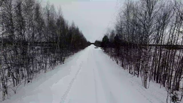 Снежная дорога Югры.