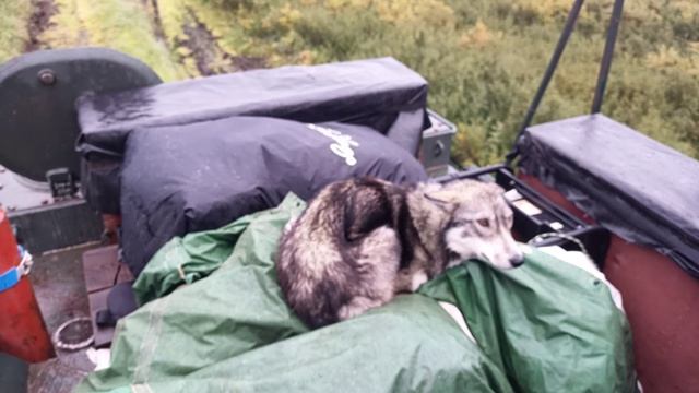 Пост 2 Мой путь в верховье Грубею.