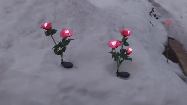 ✅️Что купила и ответы на вопросы.