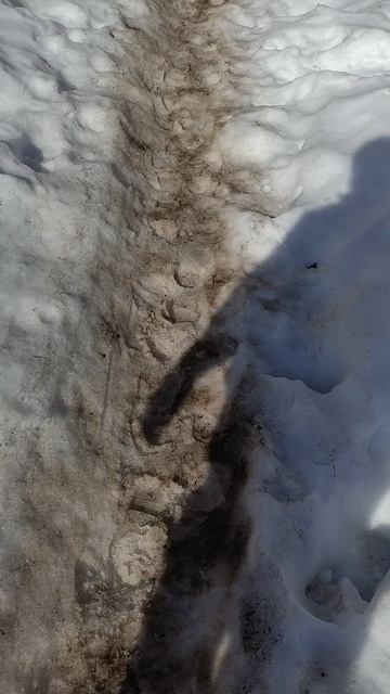 №1822 Двор Сибирская 73. 19 марта 2026 г., 14:17:53 VID_20260319_141703450