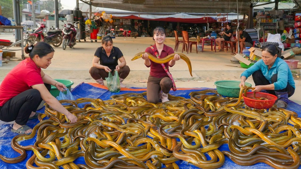 Продаю много угрей на деревенском рынке — покупаю новых утят для фермы.