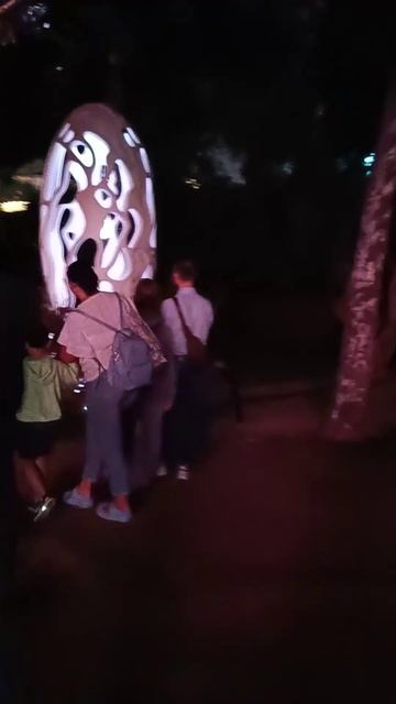 Погуляли по Парку Зарядье световое шоу Москва влог