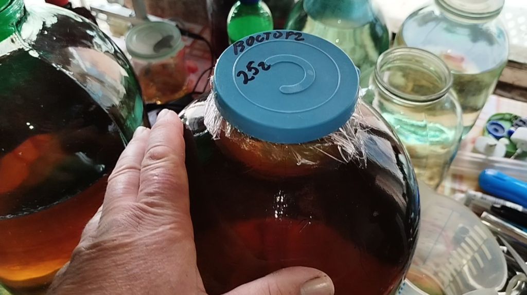 Белое вино из сорта Восторг,когда цедить?чем цедить?сколько сахара нужно добавить?как сохранить вино