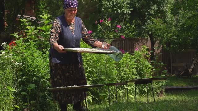 Kənd Həyatı. От дикой ромашки до сладкого горного джема