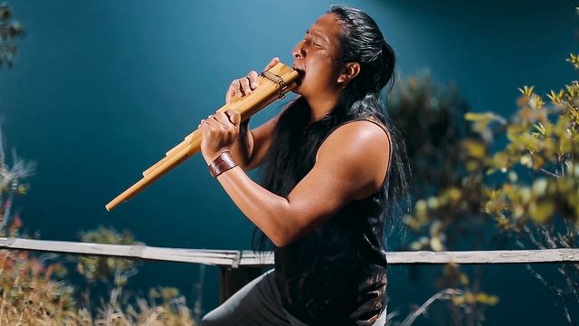 Полёт Кондора.