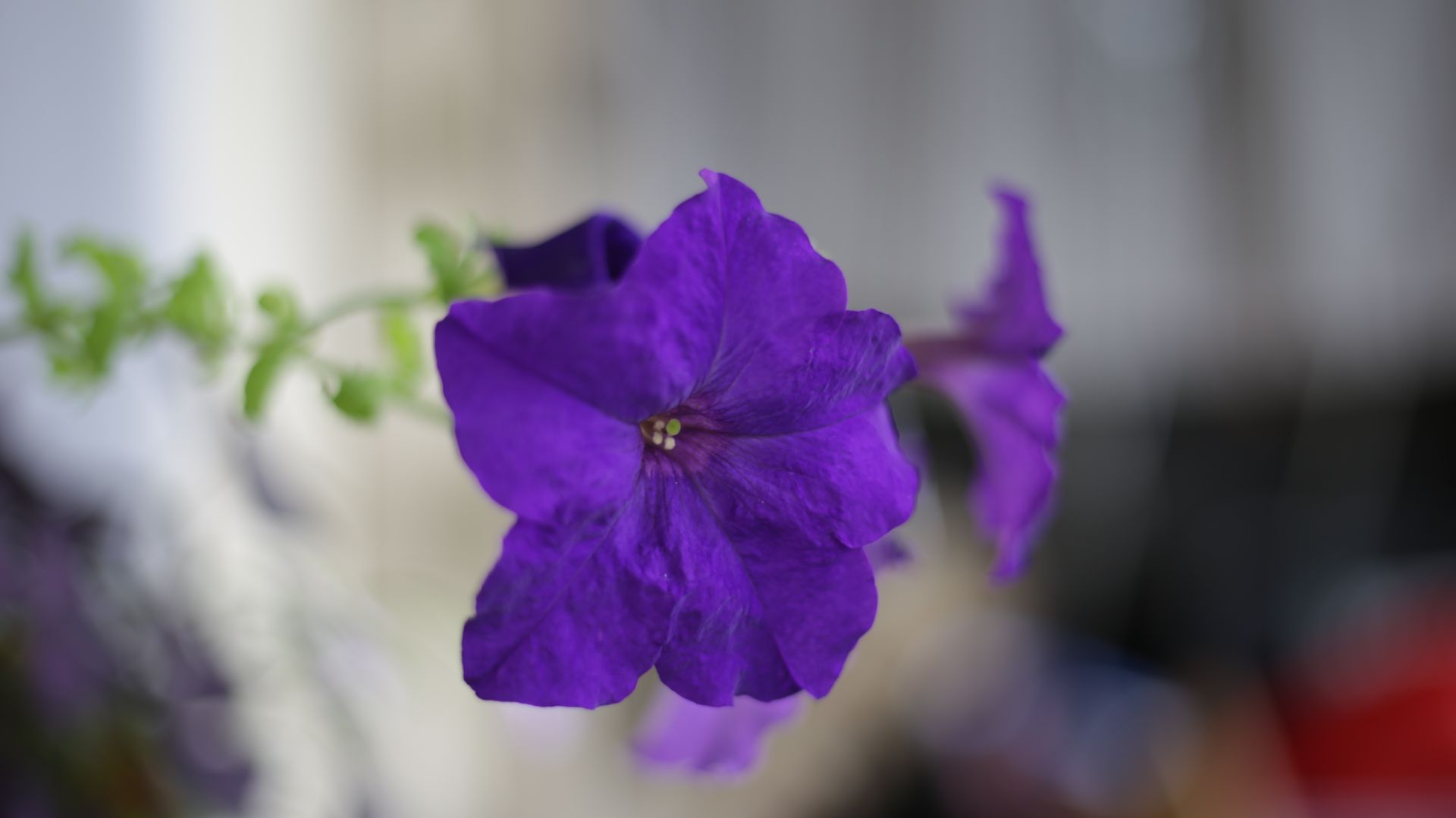 Утро 19 мая 2019.