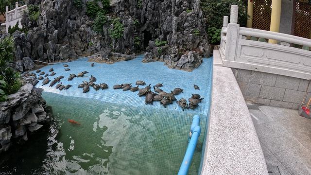 Институт Юэнь Юэнь — крупный храмовый комплекс в районе Tsuen Wan, Новые Территории, Гонконг.