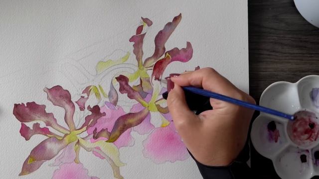 ОСНОВЫ АКВАРЕЛИ: техника нанесения краски