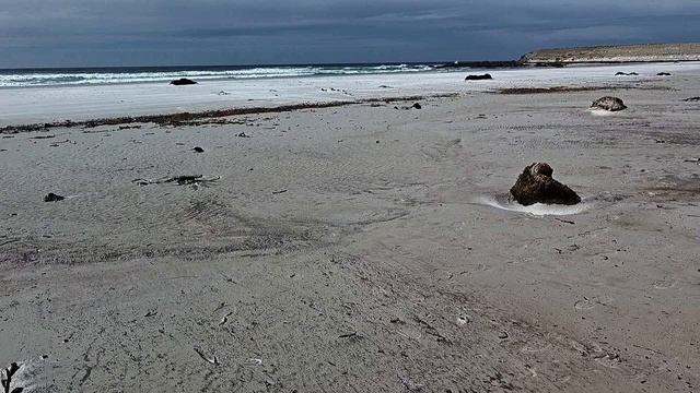 Фолкле́ндские острова́ (Falkland Islands) — архипелаг у побережья Аргентины