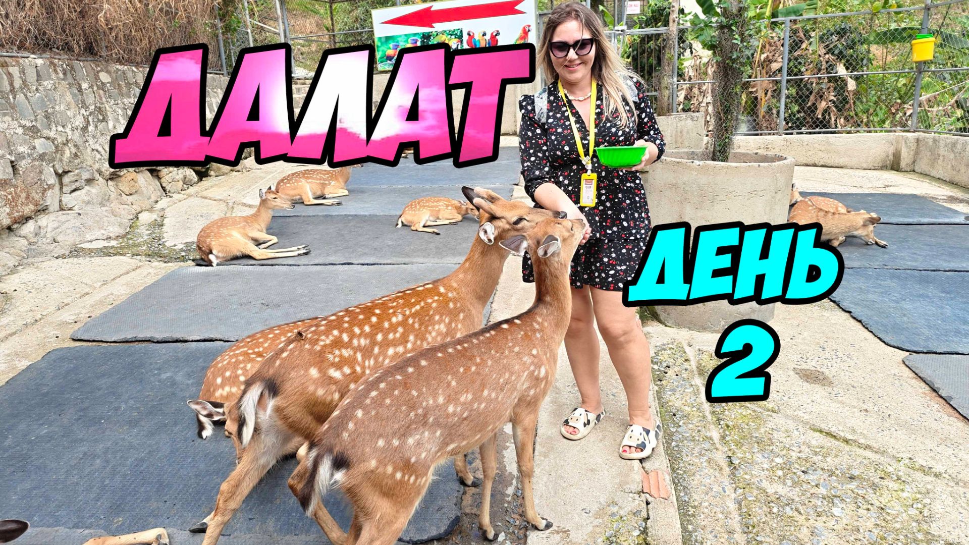 Вьетнам - путешествие по невероятному Далату (день 2)