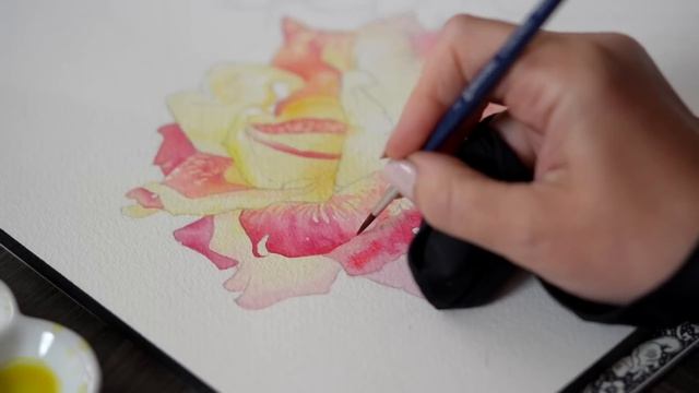 Что вы видите и что вы рисуете.