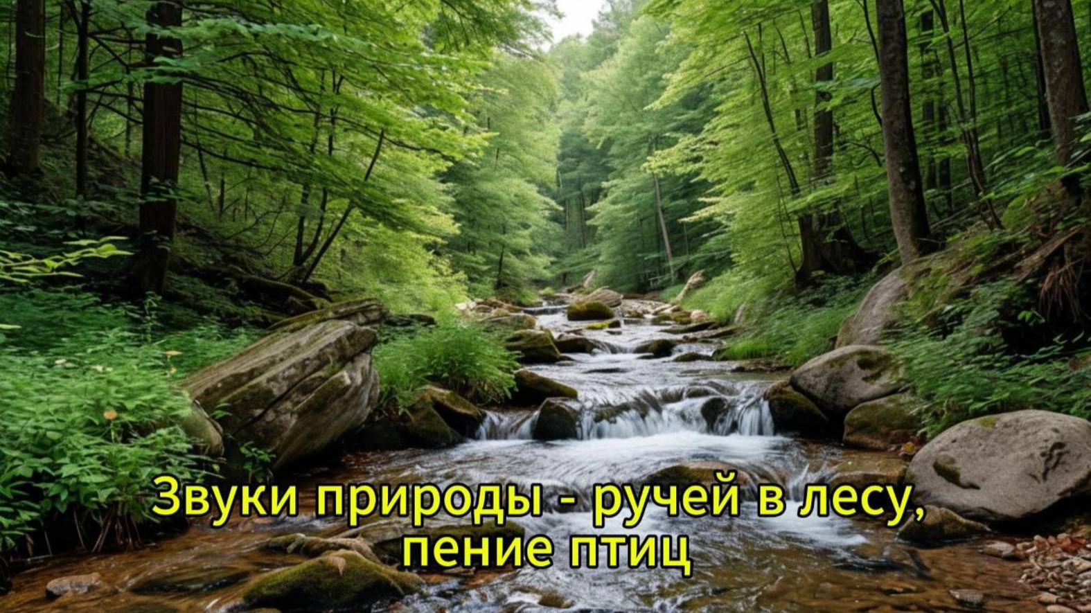 .Релакс видео. Лесная река, Звуки леса, Пение птиц. Живое пение птиц.
