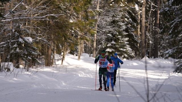 Этап лыжного марафона в Петрозаводске на 50 километров