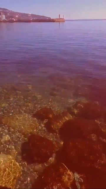 Весна в Ялте