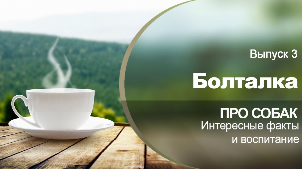 Болталка 3. Про собак. Рассказываю про Брауна и весну.