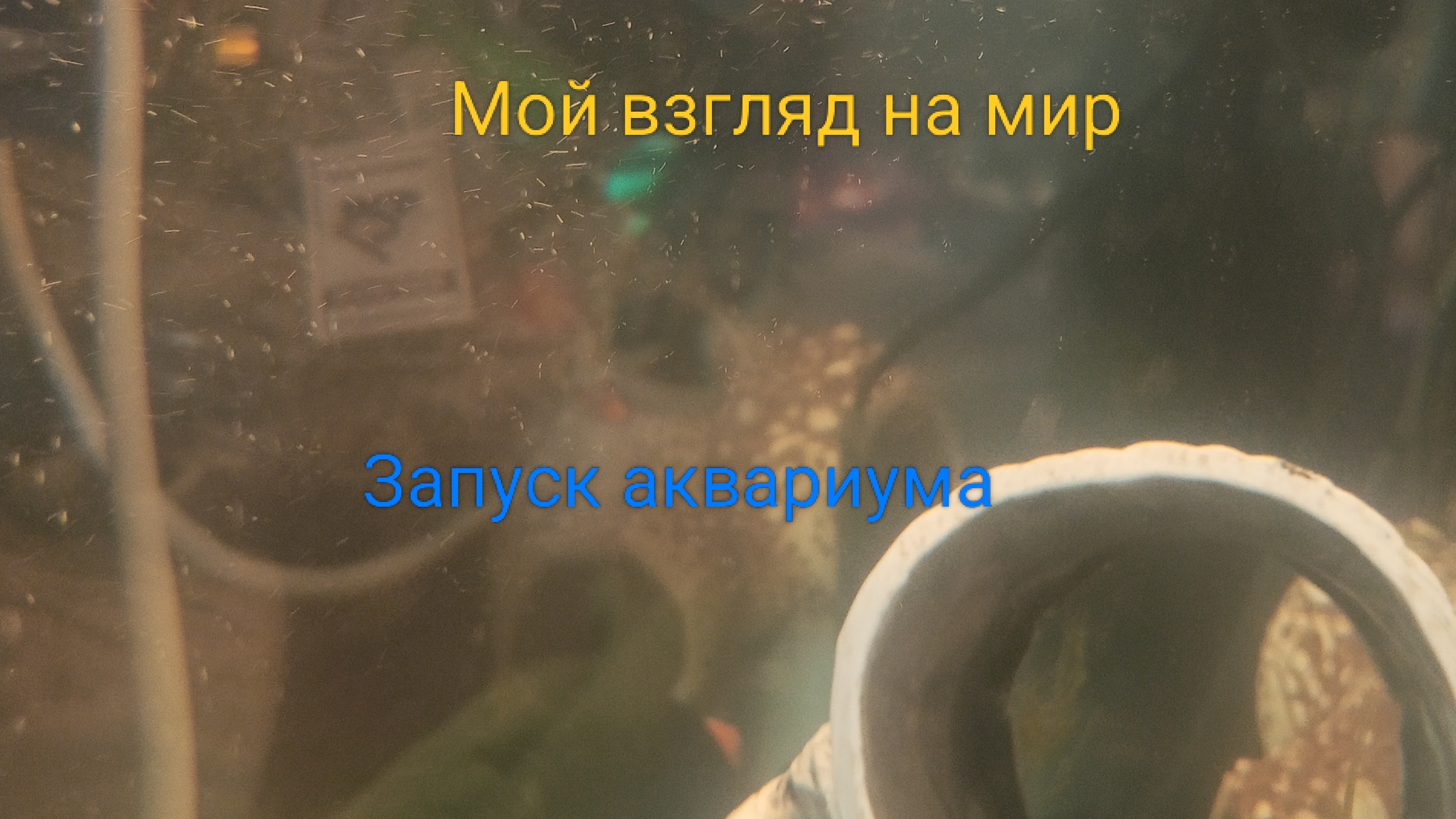 Запуск аквариума