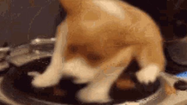 Кураж Трусливый Пёс