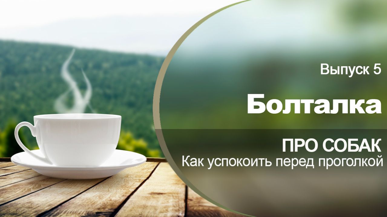Болталка 5. Про собак. Как ходить гулять и успокаивать собаку перед прогулкой?