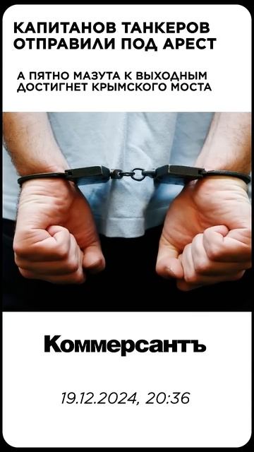 Дельфинов тоже убили большевики   Разлив Мазута  Керченский пролив   Пионер #новости #шортс
