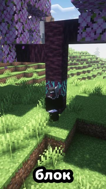 Баг с саженцем в майнкрафте #майнкрафт #постройки #майнкрафтпостройки #shorts #minecraft