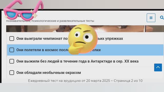 Тест. Кто. Где. Почему