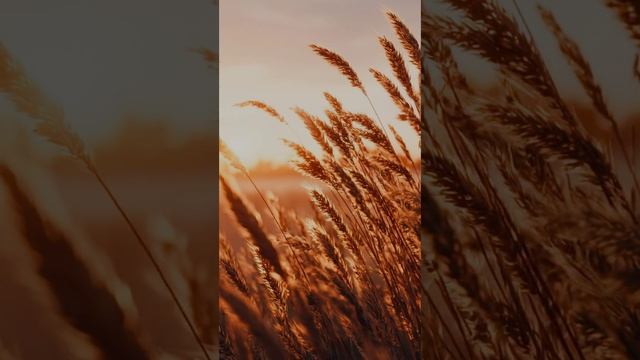 Në një labirínti bosh. В пустом лабиринте.The song is in Albanian.