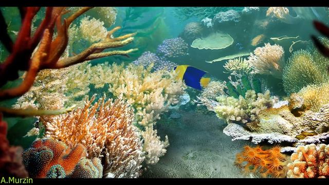 Masterminds Of Miracles 095 (David Wahler) Part 1