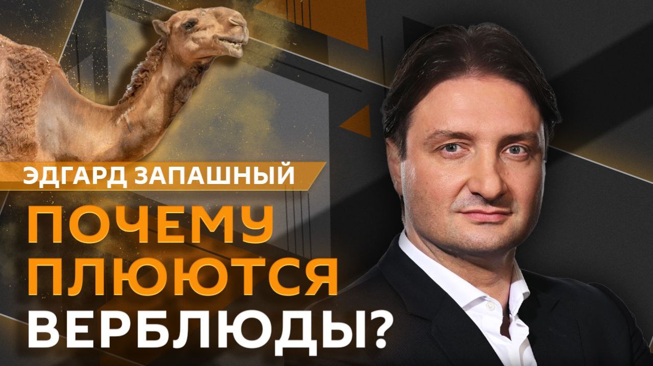 Эдгард Запашный и Нина Ватт. Ботоксные животные и неуживчивые крокодилы