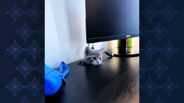 Позитивчик