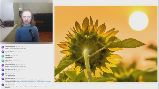 Руны Альвов