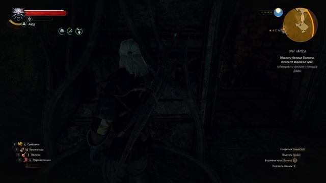 The Witcher 3 Серия 29