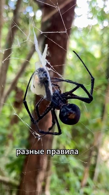 Вокруг тебя действуют разные правила