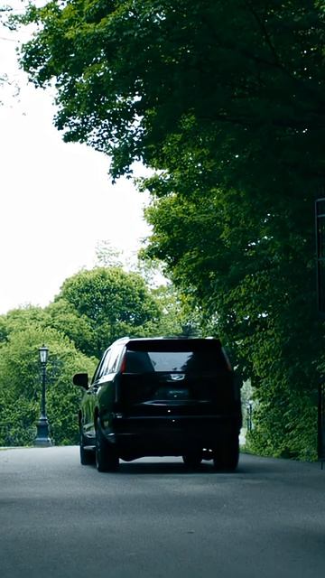 Они постараются вас убить 😨 Я иду искать 2 #