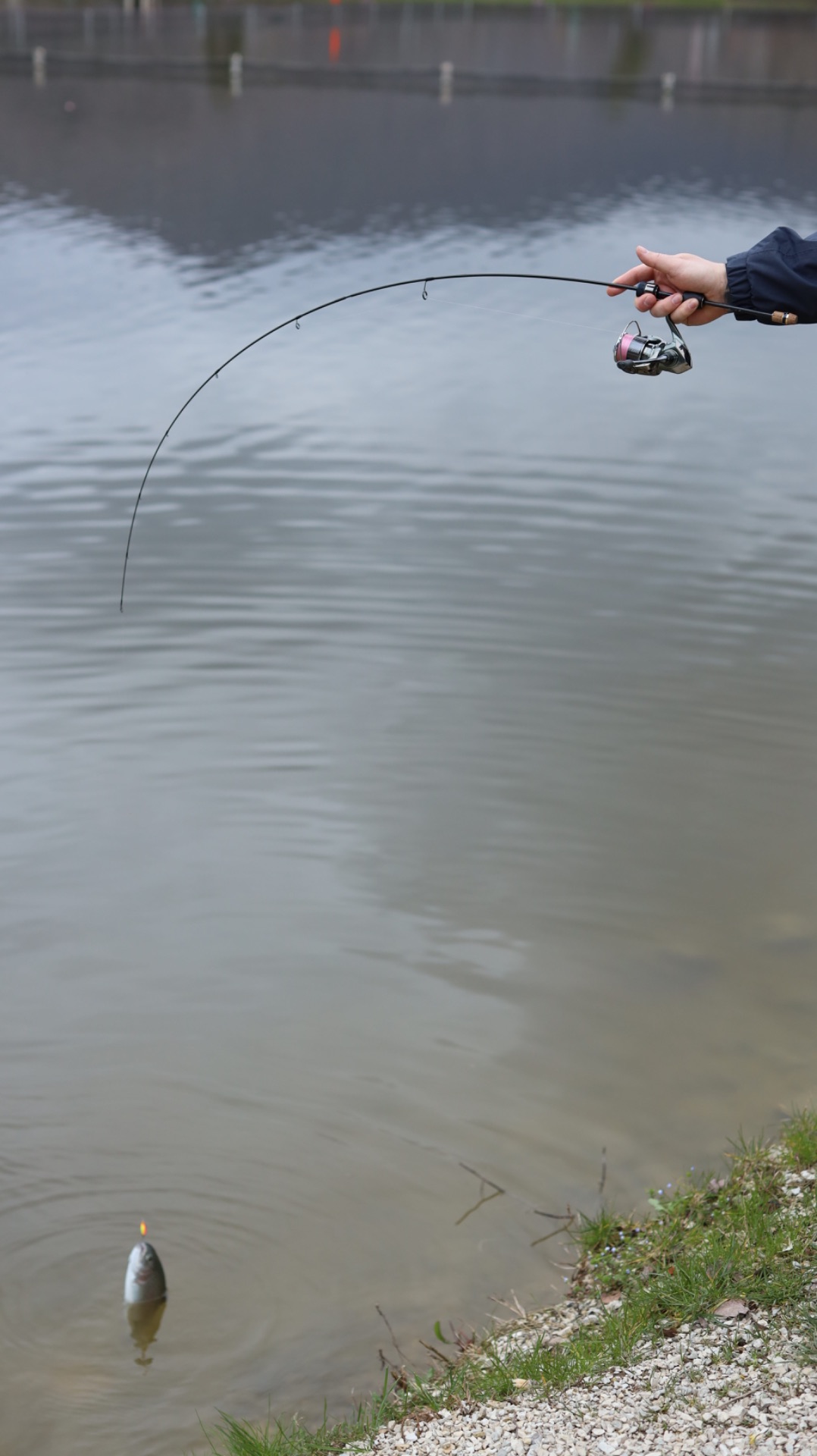 G-Tec Xross Sensetive XSS-47ST-Pro «EUPHORIA» • Area Trout Fishing