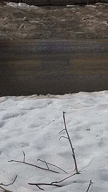 №1798 ул. Газеты Звезда. 16 марта 2026 г., 12:59:15 VID_20260316_125850410