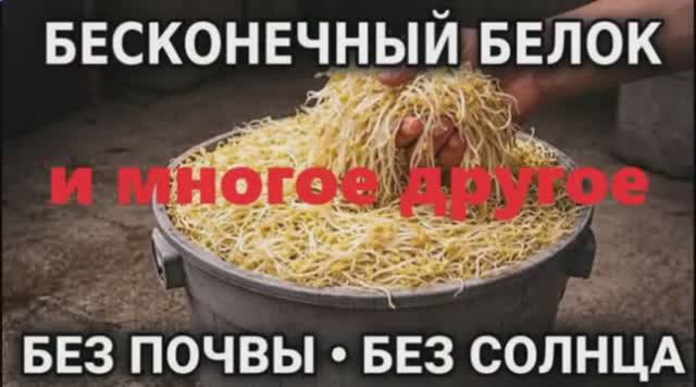 Супер продукт, кладезь полезных веществ