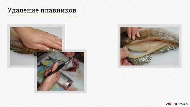 Механическая обработка рыбы